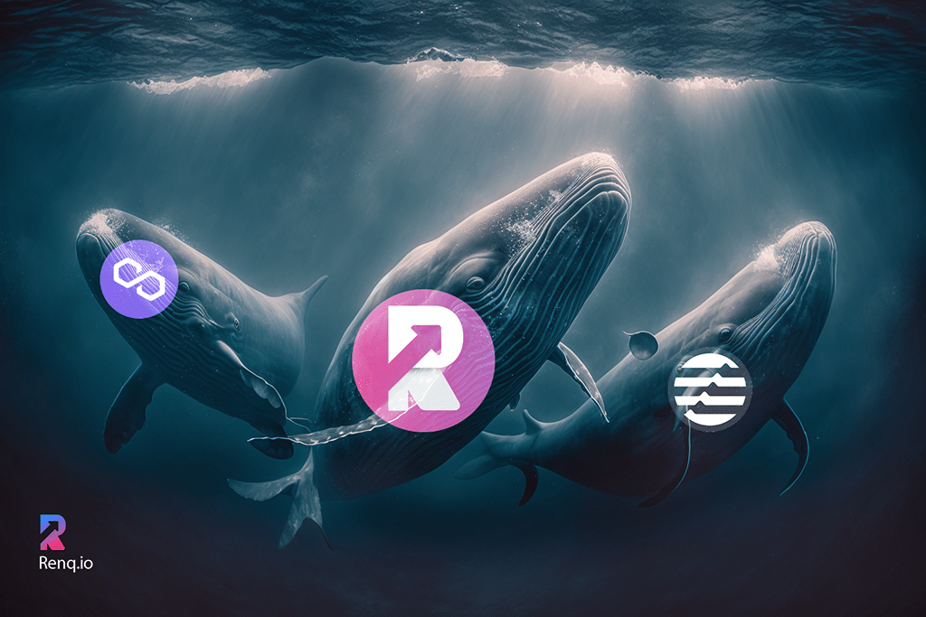 Polygon (MATIC) and Aptos (APT) Will Struggle to Gather Any Momentum, while Whales Are Now ...