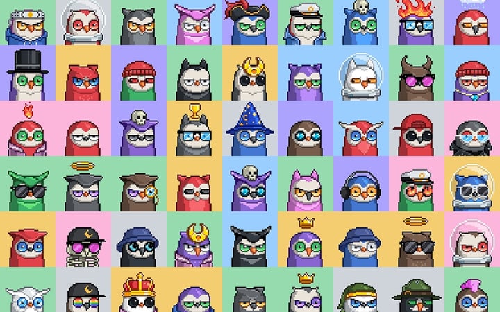 What are Moonbirds? Guide to the PFP Owl NFT Collection