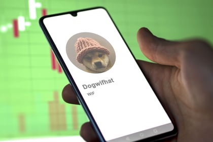 What Is Dogwifhat (WIF) Meme Coin?